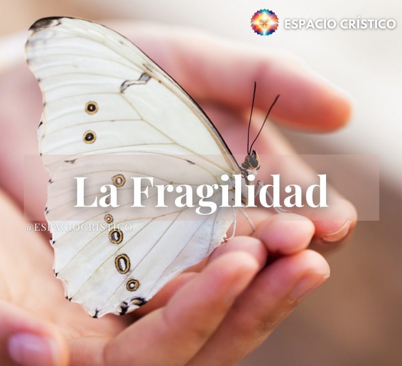 Fragilidad – Espacio Crístico